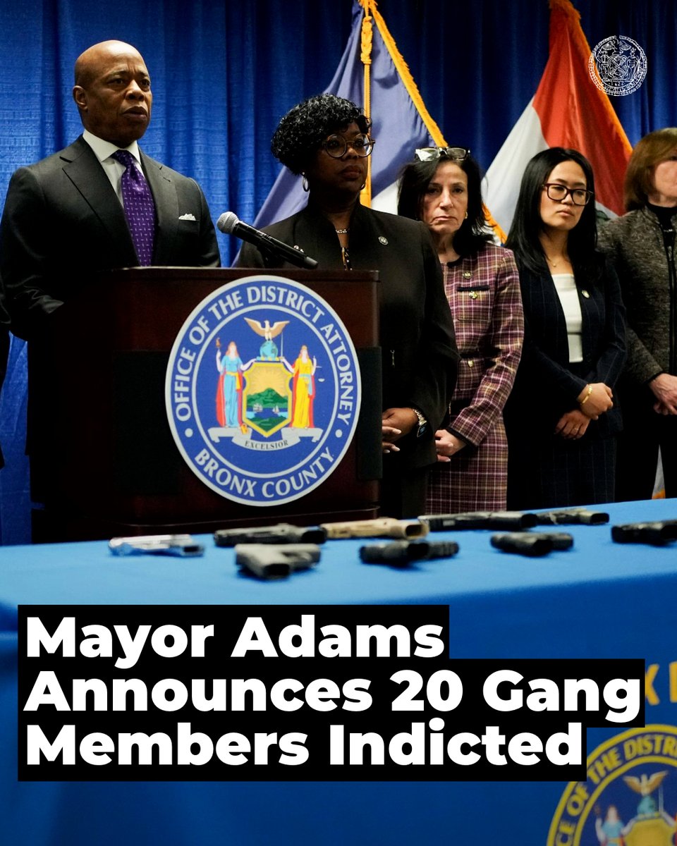 20 Bronx Gang Members Indicted in 73-Count Case for 14 Shootings Since ...