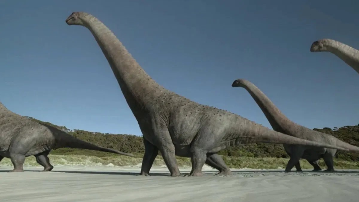 21-Meter Alamosaurus Fossil, Among Most Complete, Found in Texas’ Big ...