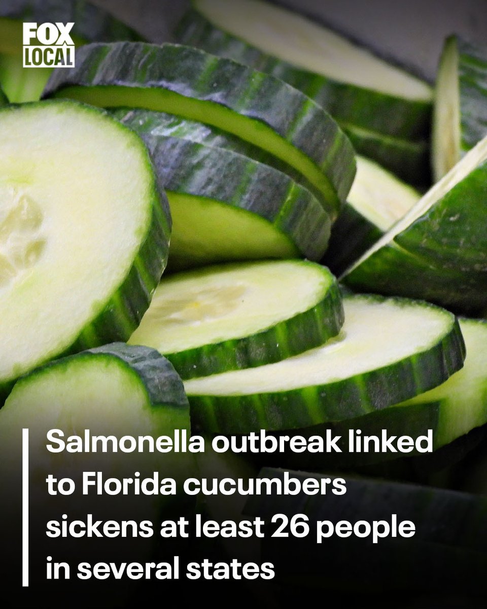 26 Sickened, 9 Hospitalized as Salmonella Outbreak Linked to Florida Cucumbers Triggers Recall ...