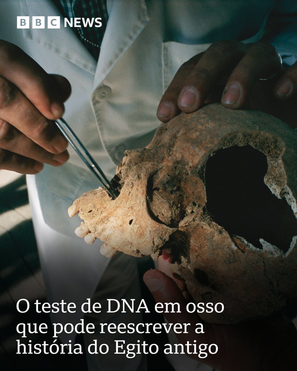 4,500-Year-Old Egyptian Genome Sequenced, Revealing Mesopotamian ...
