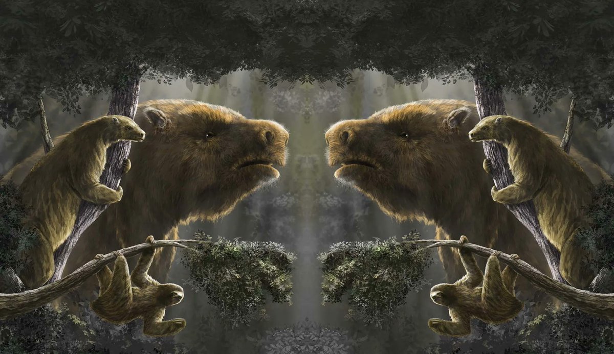 8,000-Pound Giant Ground Sloths Evolved Three Times During Ice Age ...