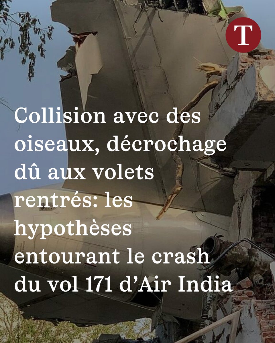 Air India Flight AI171 Crash Theories Include 462 Bird Strikes, Flap ...