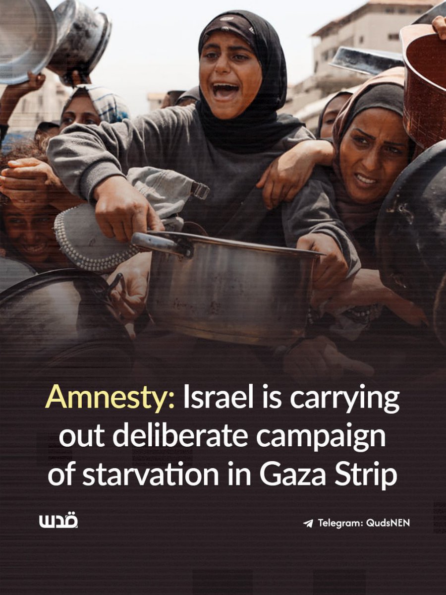 Amnesty Accuses Israel of Deliberate Starvation Campaign in Gaza | DeepNewz Middle East