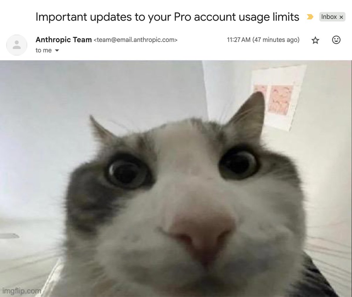 Anthropic Imposes Weekly Caps on Claude Pro and Max to Curb Overuse ...