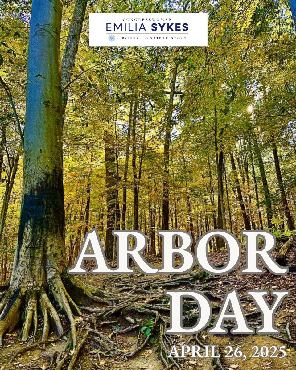 Arbor Day 2025: U.S. Celebrates with Tree Planting, Focuses on Recovery ...