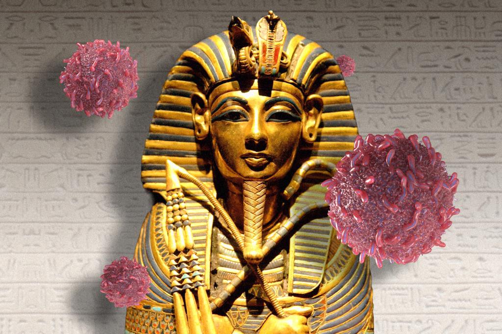 Aspergillus Flavus Fungus From Tutankhamun’s Tomb Shows Potential Against Leukemia, University ...