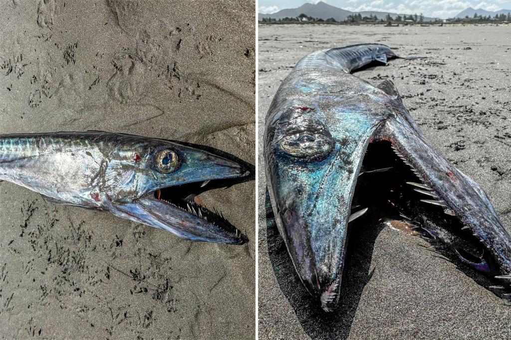 Axial Seamount Off Oregon Coast Poised for Eruption Before End of 2025 ...