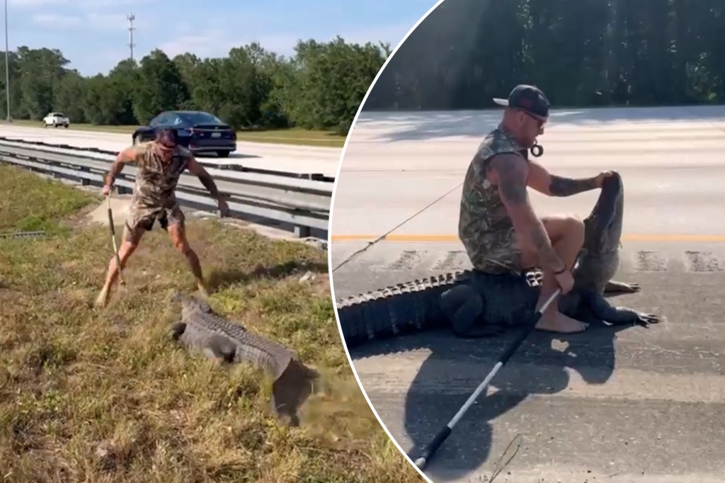 Barefoot 'Blue Collar Brawler' Captures 10-Foot Alligator on I-95/I-295 ...