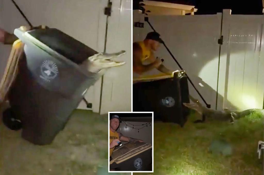 Barefoot Florida Man Mike Dragich Captures Seven-Foot Alligator During ...