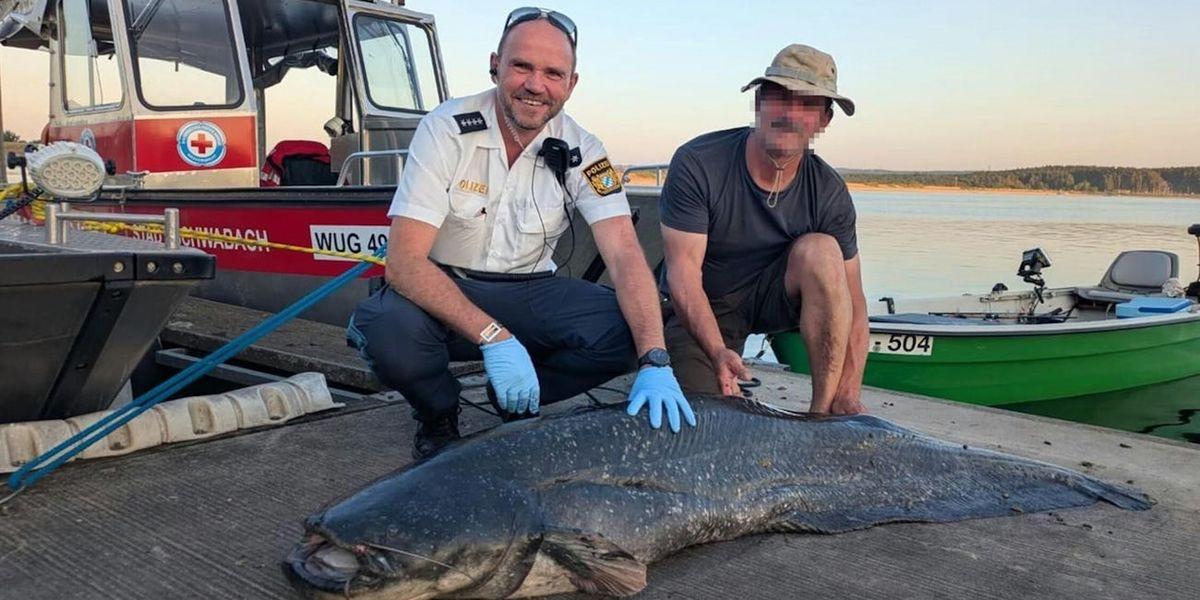 Bavarian Police Shoot 90-Kilogram Wels Catfish After Injuring Five ...