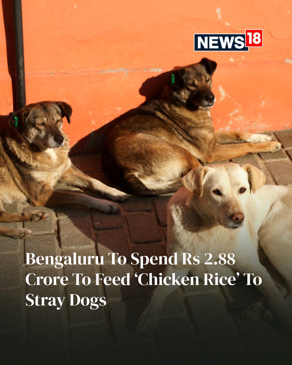 Bengaluru’s BBMP Launches Rs 2.88 Crore Chicken and Rice Feeding Scheme ...