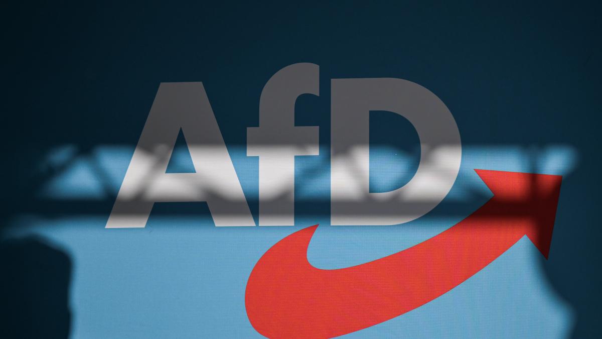 BfV Suspends 'Extremist' Label for AfD with 152 Seats Amid Lawsuit ...