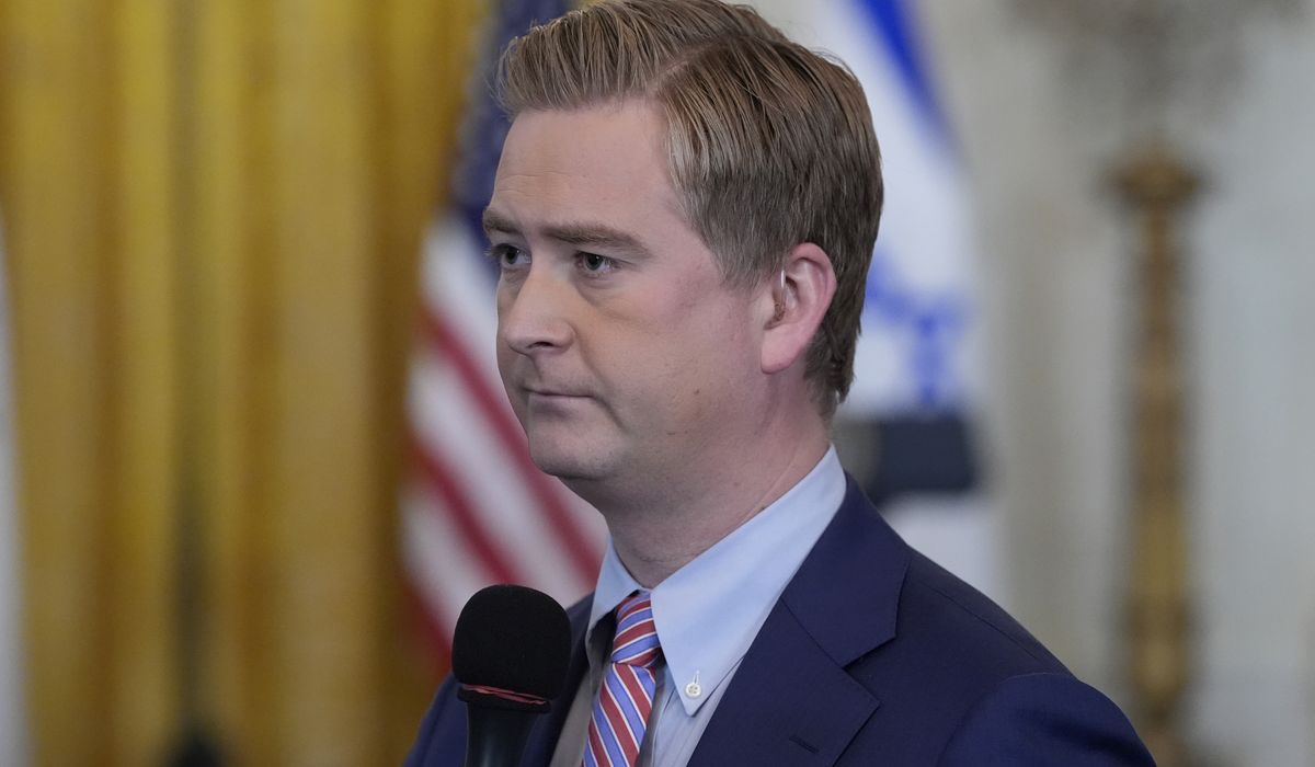 Bird Lands on Fox News Reporter Peter Doocy's Head During Live Broadcast, Doocy Urges Trump to ...