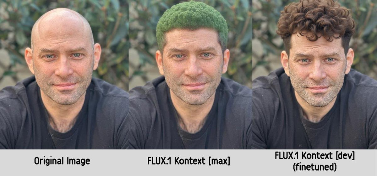 Black Forest Labs Releases 12B-Parameter FLUX.1 Kontext Image-Editing Model | DeepNewz AI Modeling