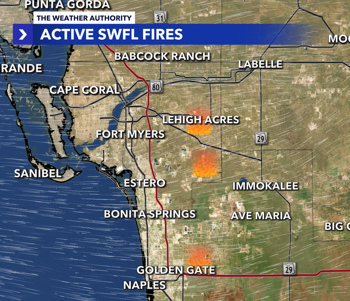 Brush Fire in Lee County, Florida, Grows to 20 Acres, 65% Contained; 3 ...