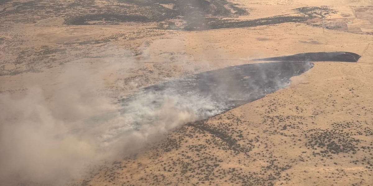 Bryce Fire Nears 3,000 Acres With 25% Containment in Graham County ...