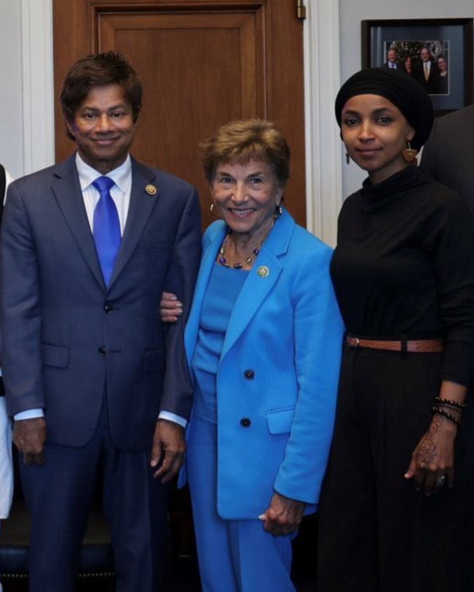Calls to Expel Foreign-Born Congress Members and Require Proof of ...