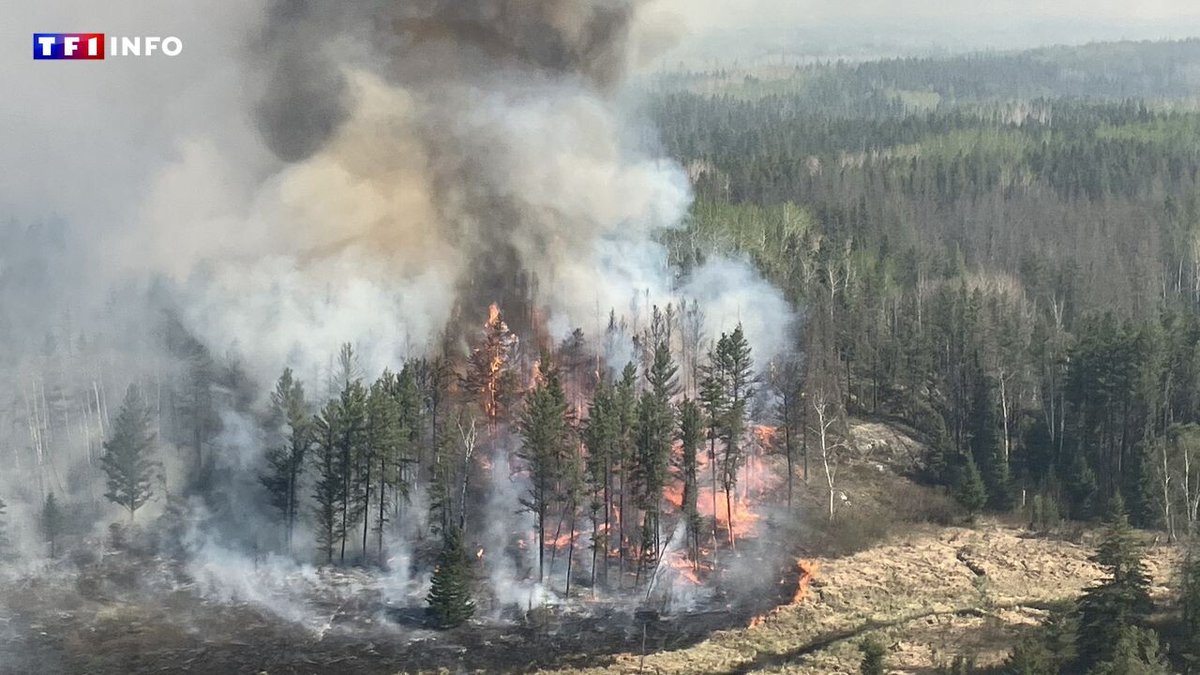 Canada Wildfires Burn Over 3.2 Million Hectares With 212 Active Fires ...