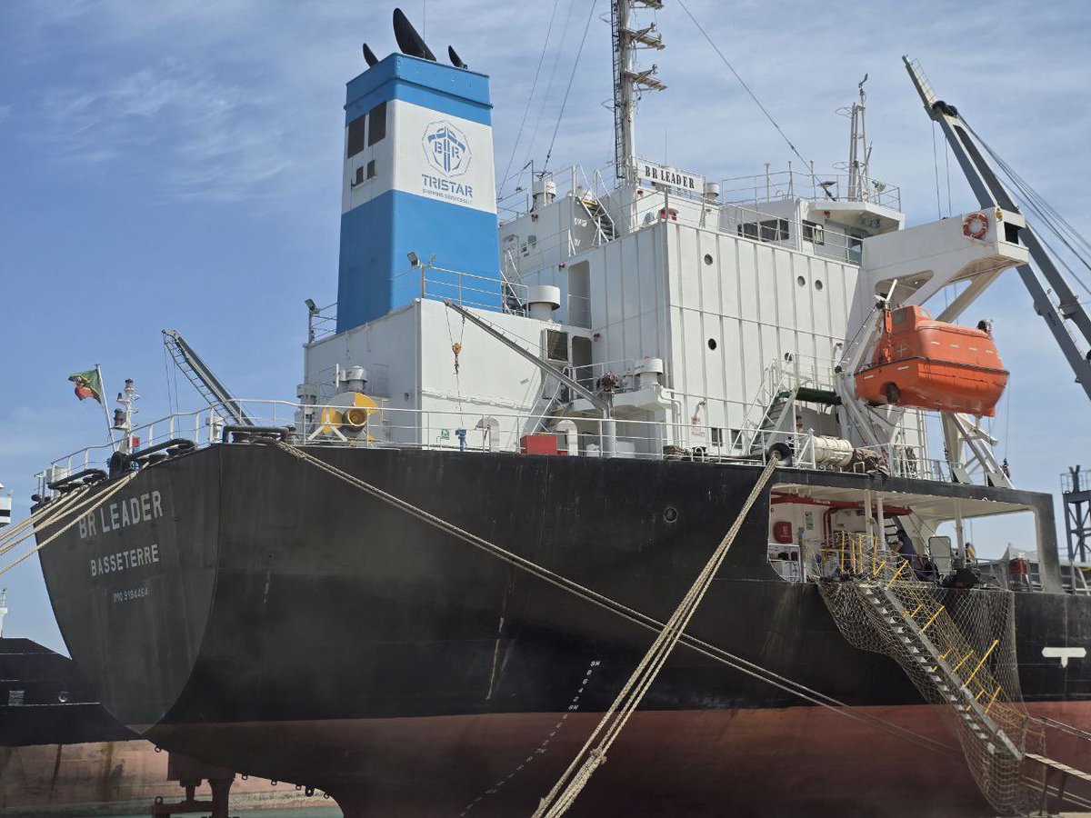 Cargo Ship Brave Commander Delivers 20,000 Tons of Wheat to Turkey; 50 ...
