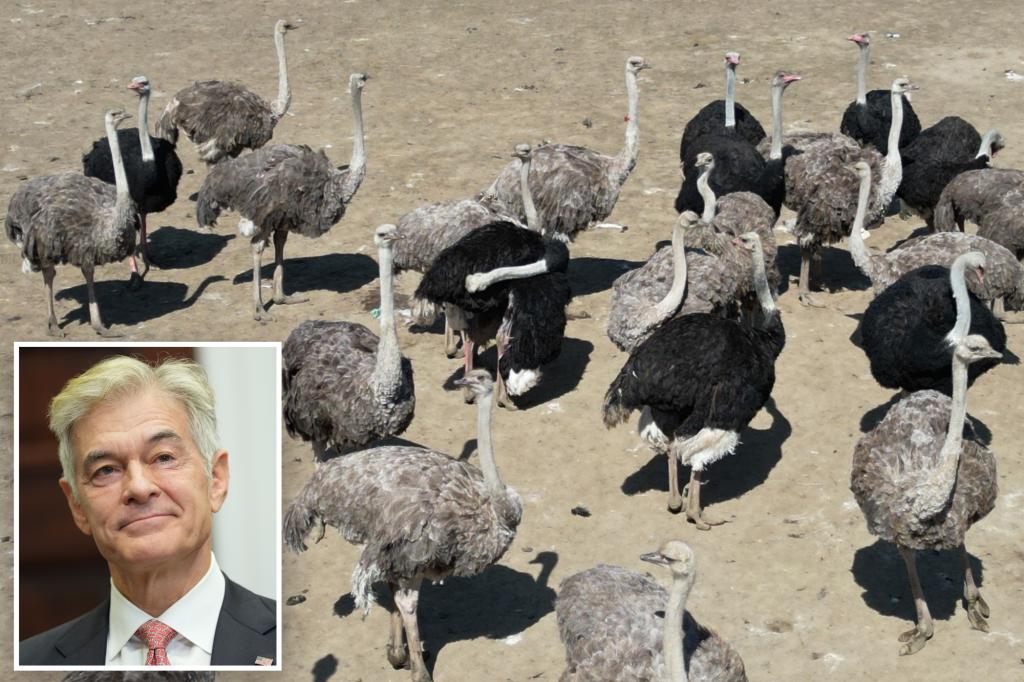 CFIA Orders Cull of 400 Healthy Ostriches at Universal Ostrich Farms ...
