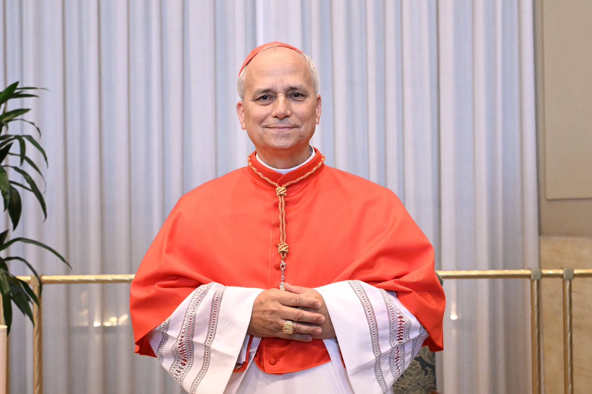 Chicago-Born Cardinal Robert Prevost Becomes Pope Leo XIV, First American Pontiff | DeepNewz ...
