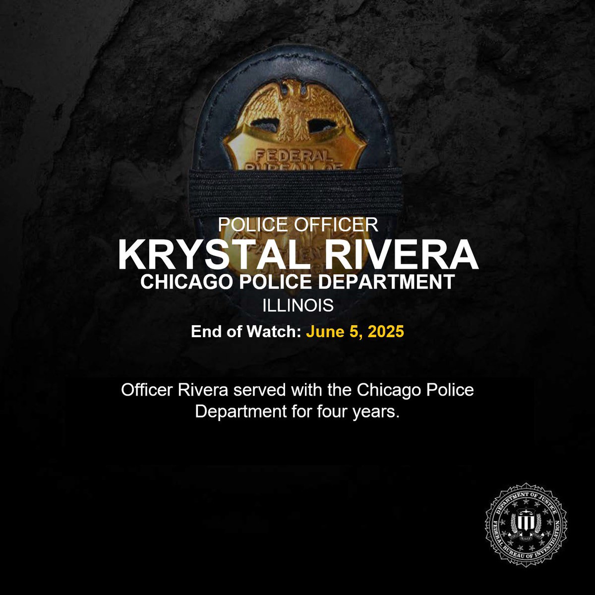 Chicago Officer Krystal Rivera Accidentally Killed by Partner June 5 ...