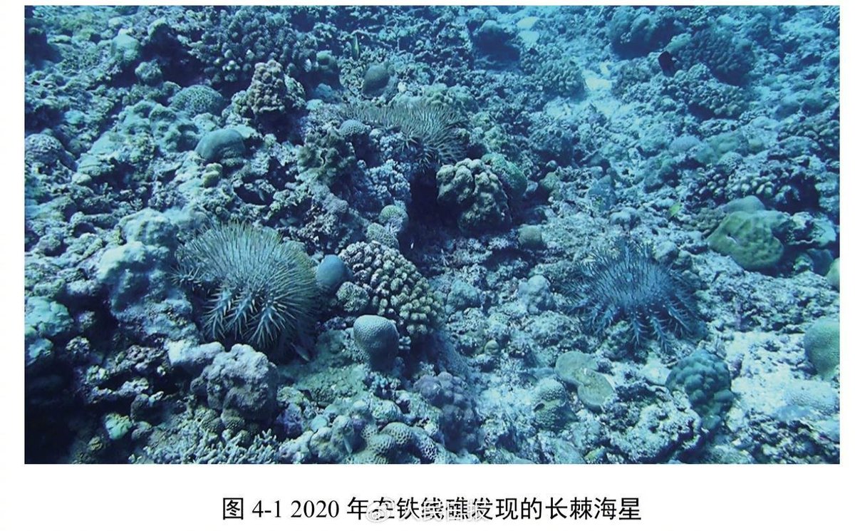 China Debunks Sea Reclamation Claims on Four Cays, Cites Illegal ...