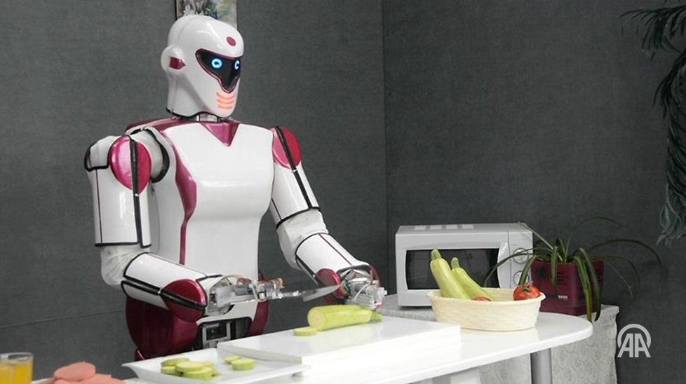 China Leads in Factory Robot Density as Humanoid Robotics Market Set to ...