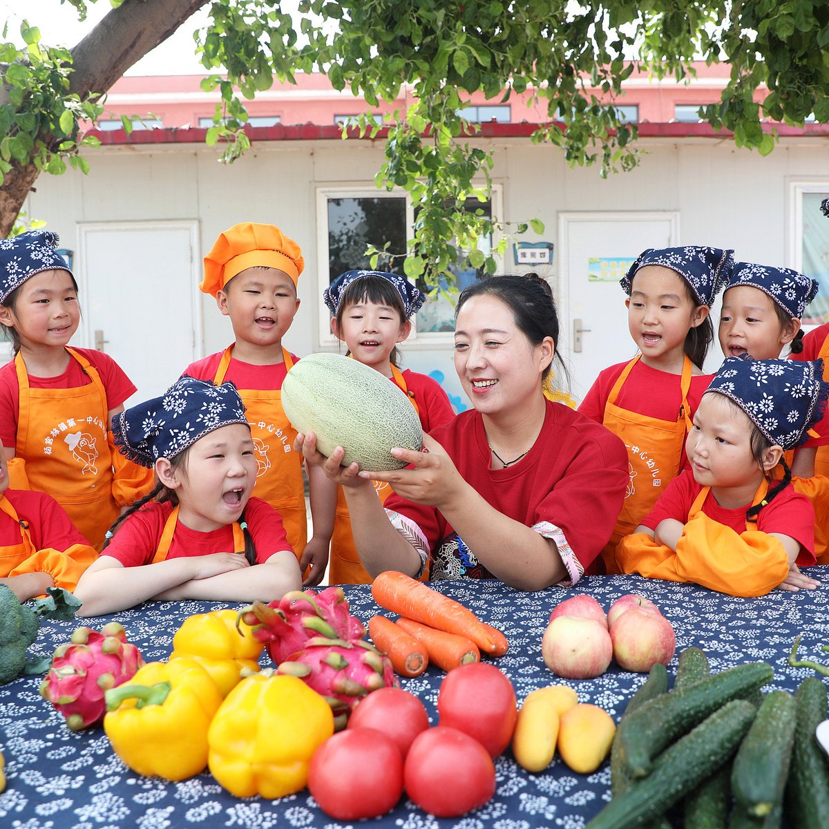 China Releases New Dietary Guidelines, Promotes Low-Fat Meals as India ...