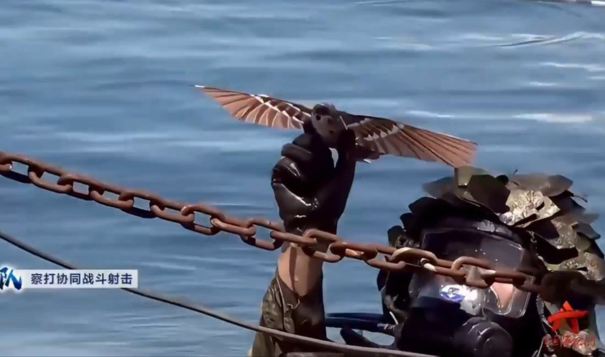 China's Jiutian SS-UAV Drone Carrier, With 15,000m Ceiling and 100 ...