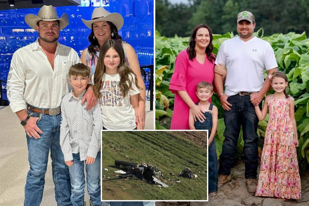 Cirrus SR22 Crash Near Sanford N.C. Kills Family of Four | DeepNewz ...