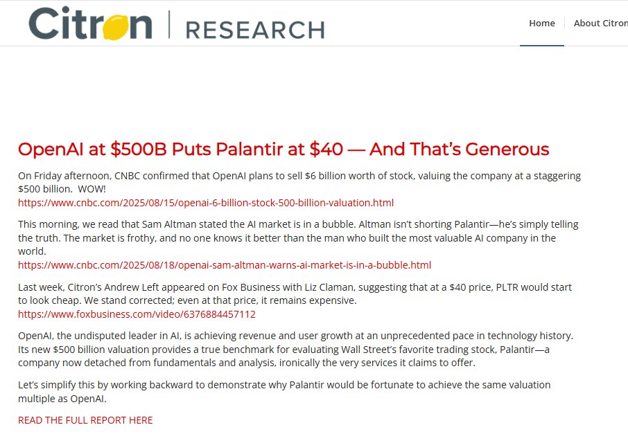 Citron Research Sets $40 Target for Palantir Amid Stock’s Five-Session ...