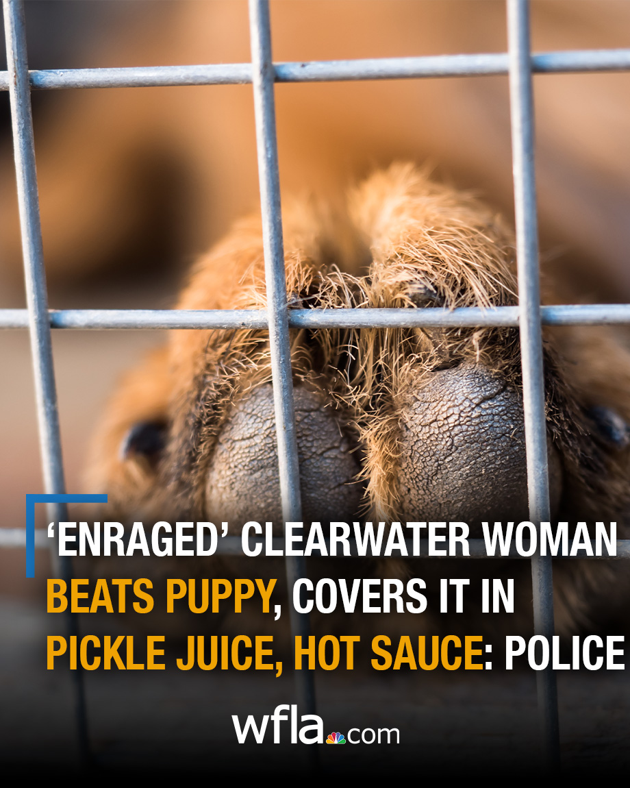 Clearwater's La'Myah Rumph Charged With Aggravated Animal Cruelty After ...