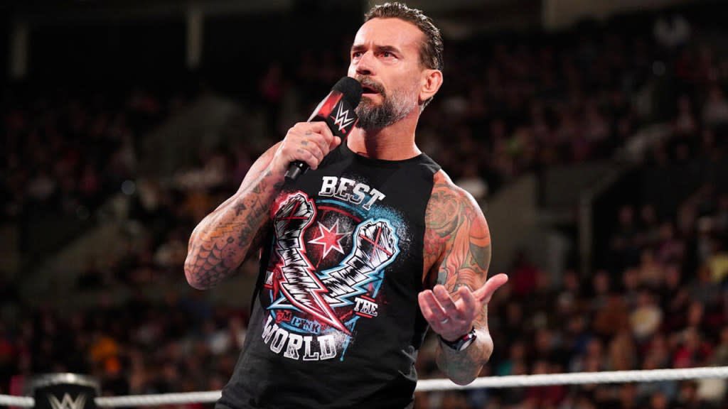 CM Punk Alleges Elon Musk Made Nazi Salute at January 2025 Trump ...