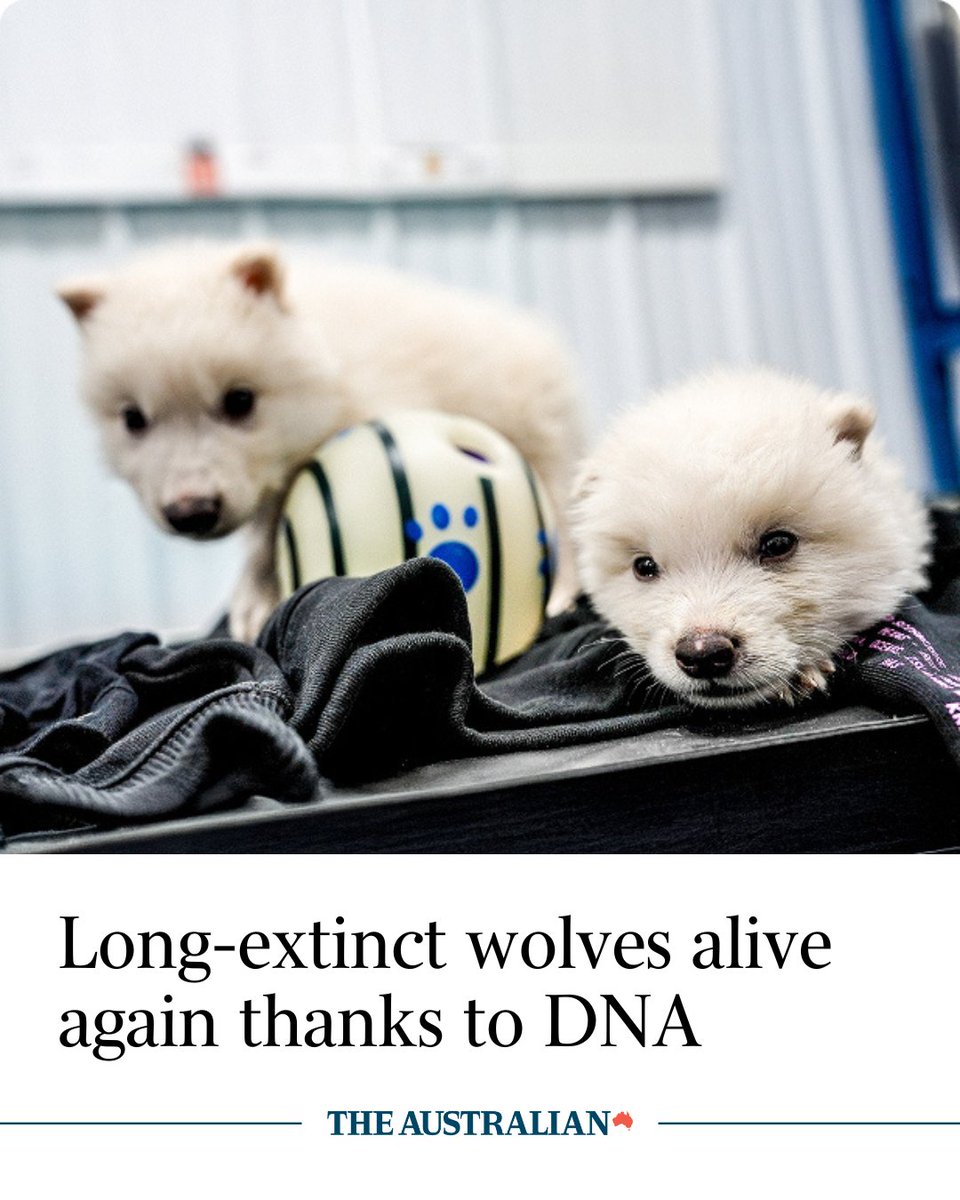 Colossal Biosciences Edits 20 Genes Using Ancient DNA to Clone Dire ...