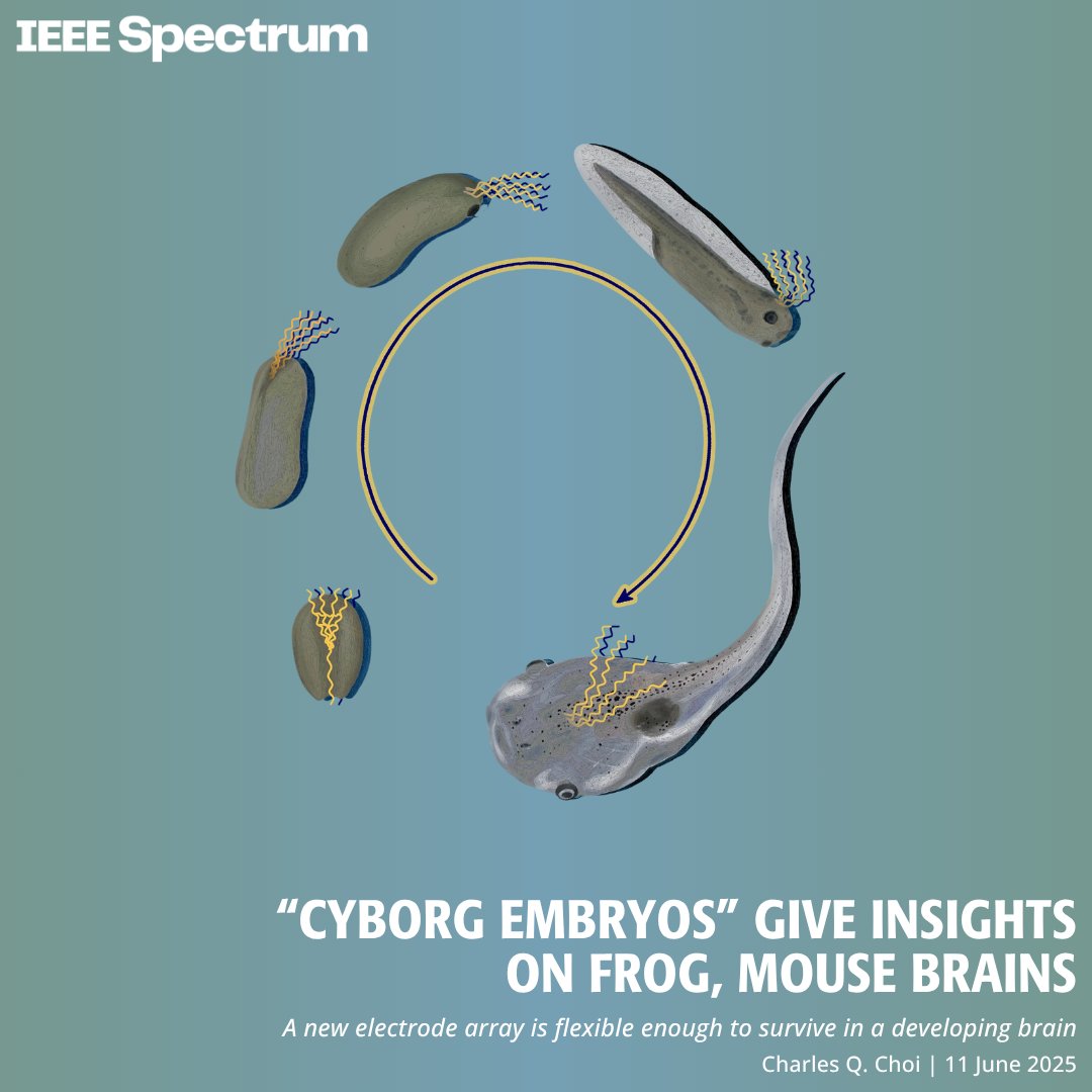Cyborg Embryos, iXCells iPSCore™ and DESwoMAN Pipeline Advance ...