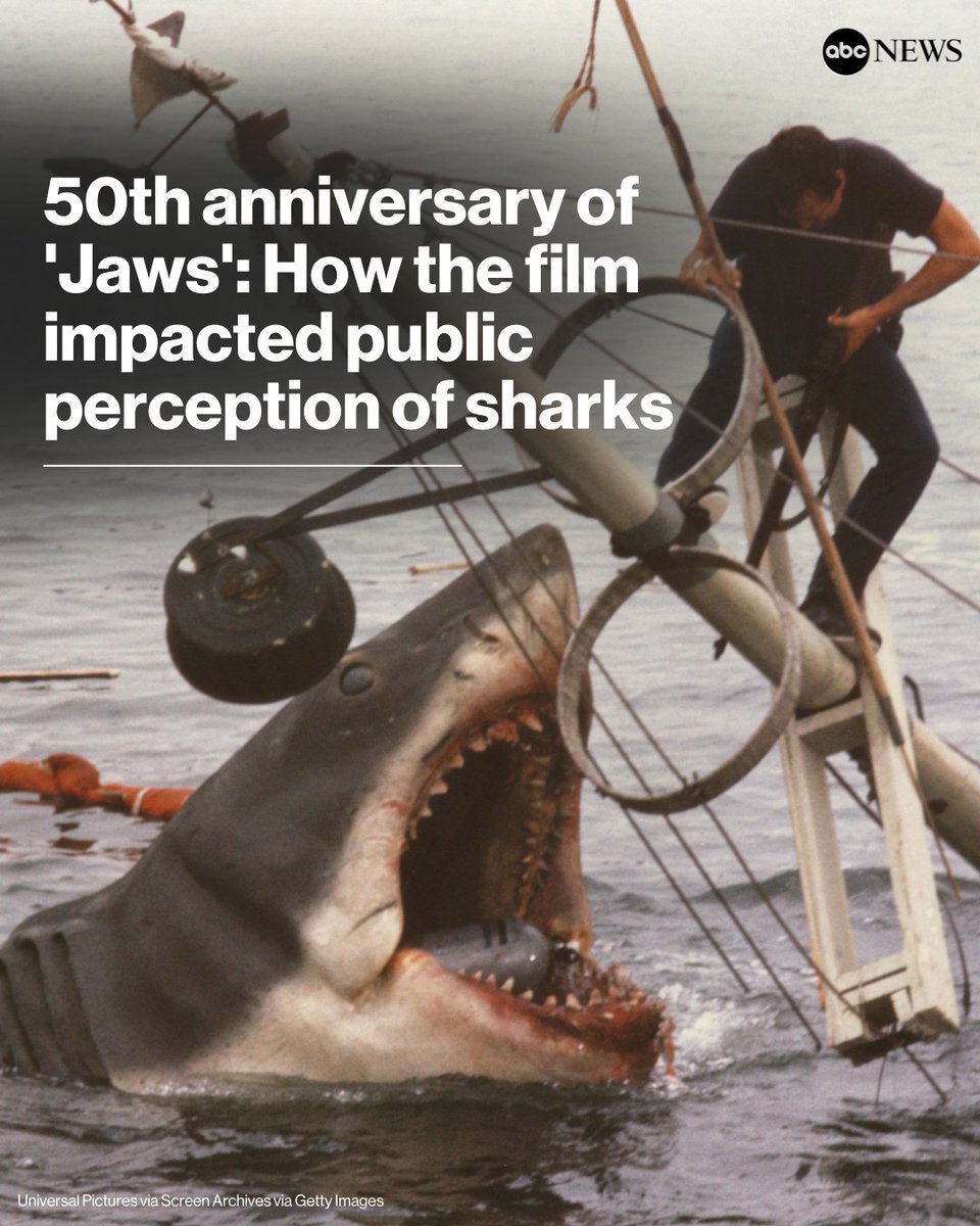 ‘Dangerous Animals’ Shark-Obsessed Serial Killer Film Opens as ‘Jaws ...