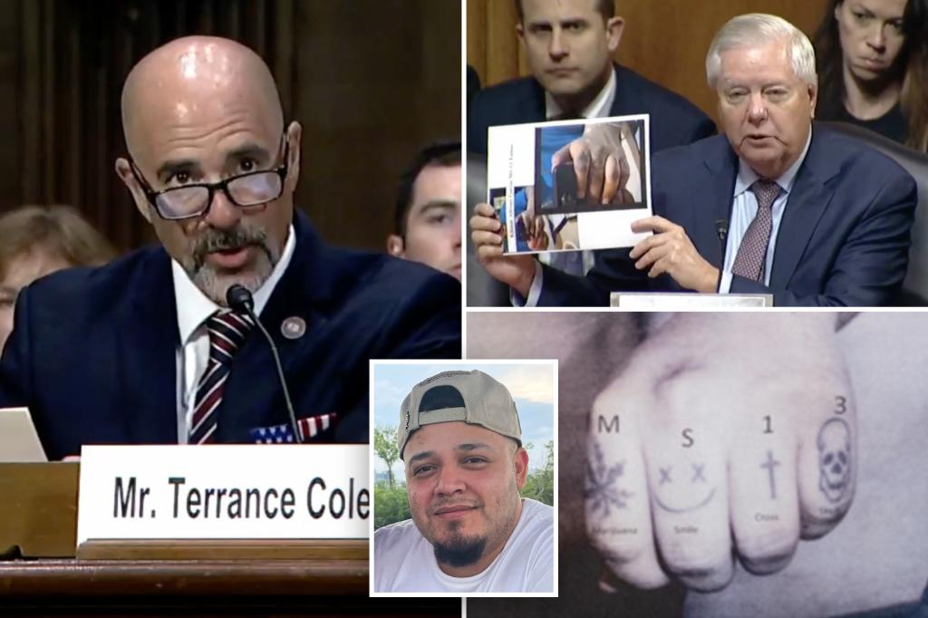 DEA Nominee Terrance Cole Confirms MS-13 Tattoos on Kilmar Abrego Garcia at Senate Hearing ...