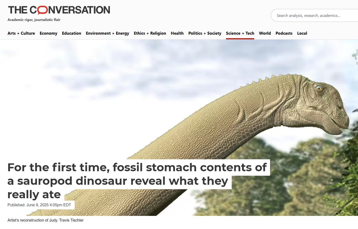 Diamantinasaurus Fossil From Australia Shows 95-Million-Year-Old ...