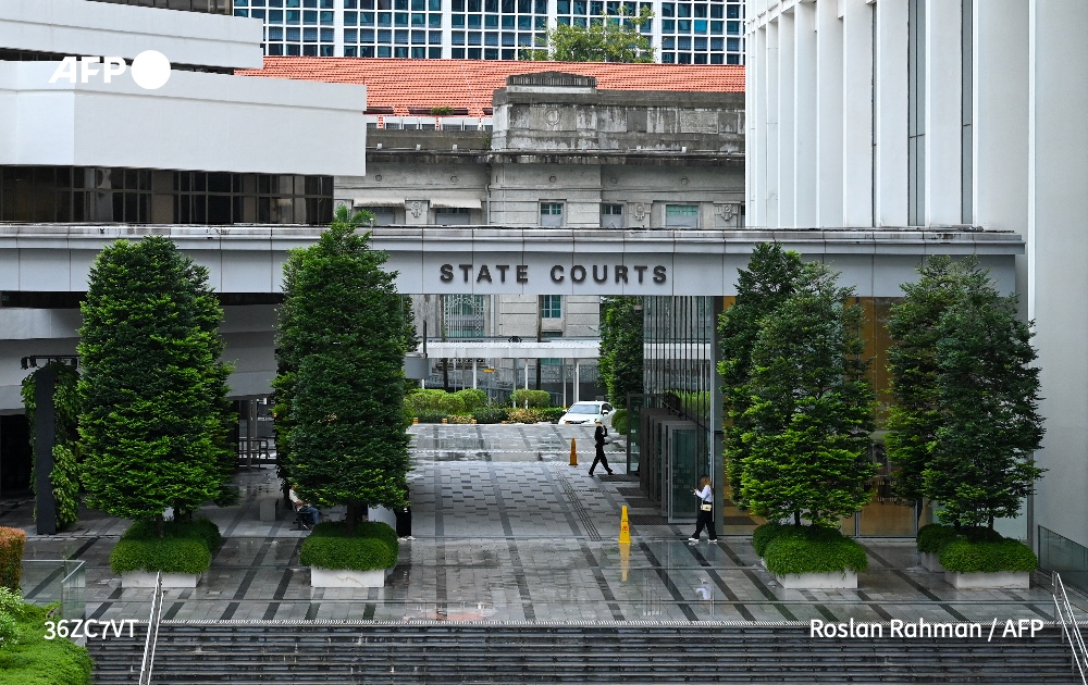 Dionne Marie Hanna, 84, Charged with Fraud in Singapore Court Over £ ...