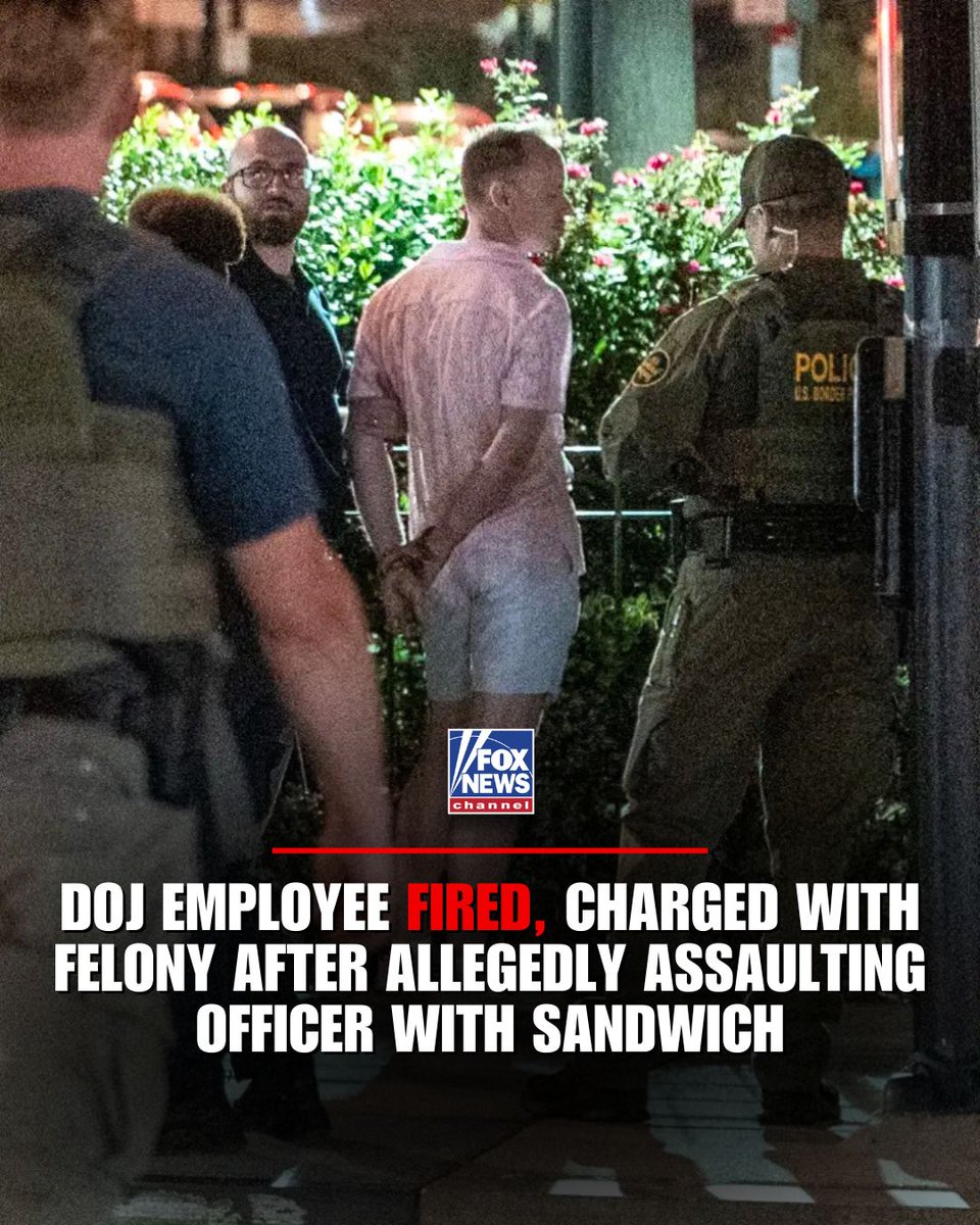 DOJ Attorney Fired After Felony Charge for Hurling Sandwich at CBP ...