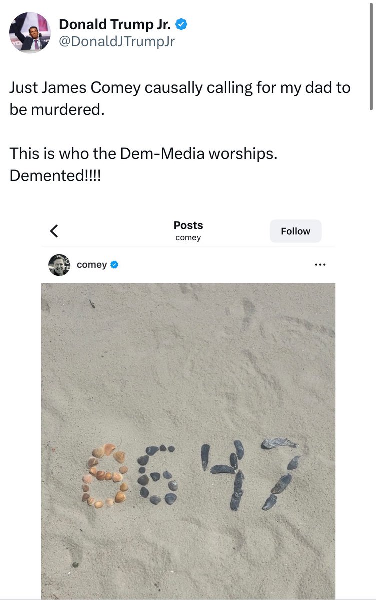 Donald Trump Jr. Accuses James Comey of Calling for His Father’s Murder ...