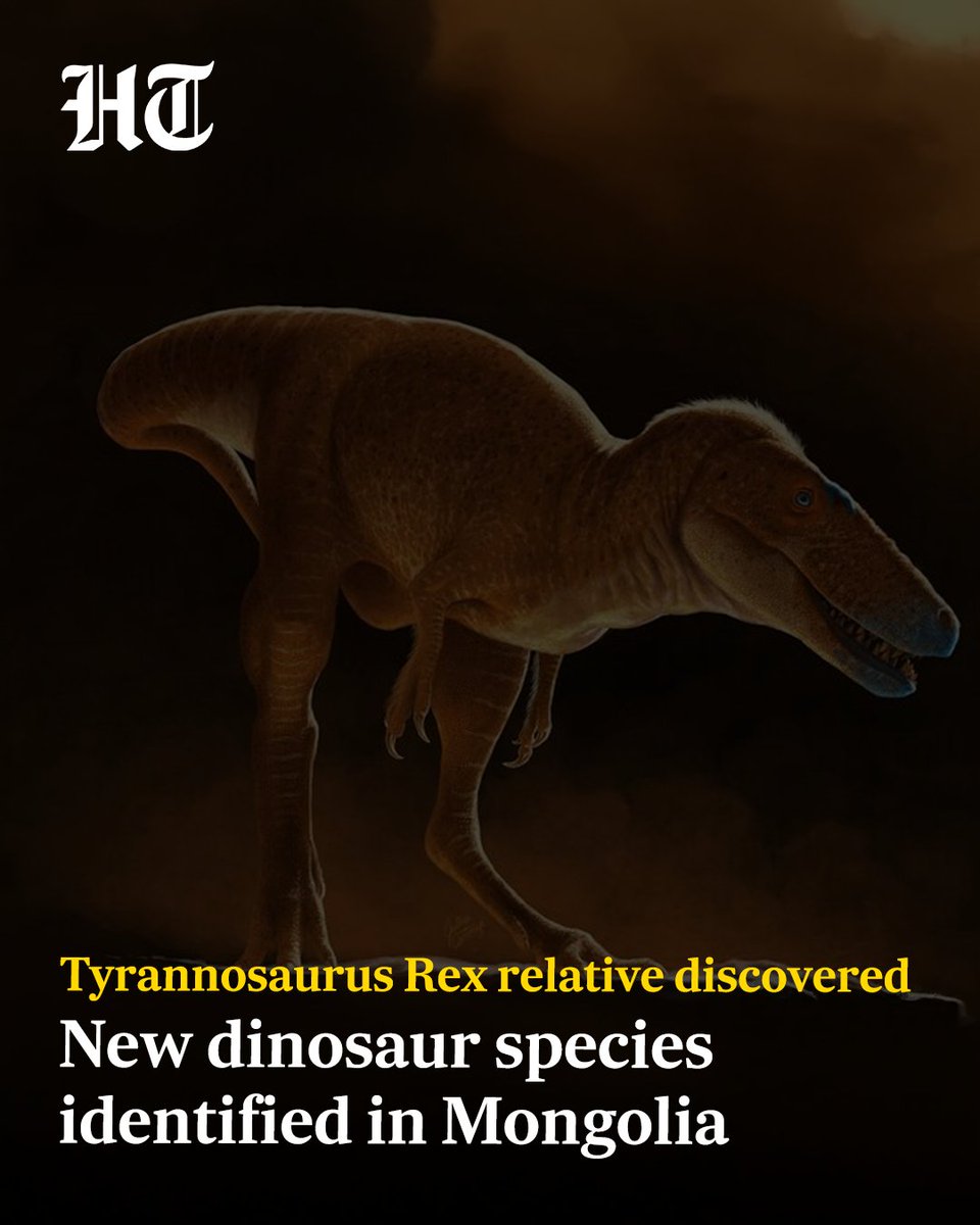 Dragon Prince Dinosaur Khankhuuluu Mongoliensis, Closest T. Rex ...