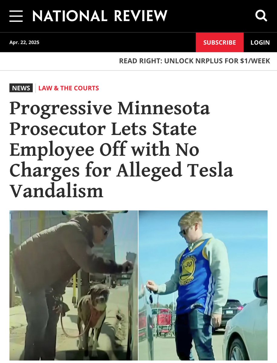 Dylan Bryan Adams Avoids Charges for $20,000 Tesla Vandalism, Enters ...