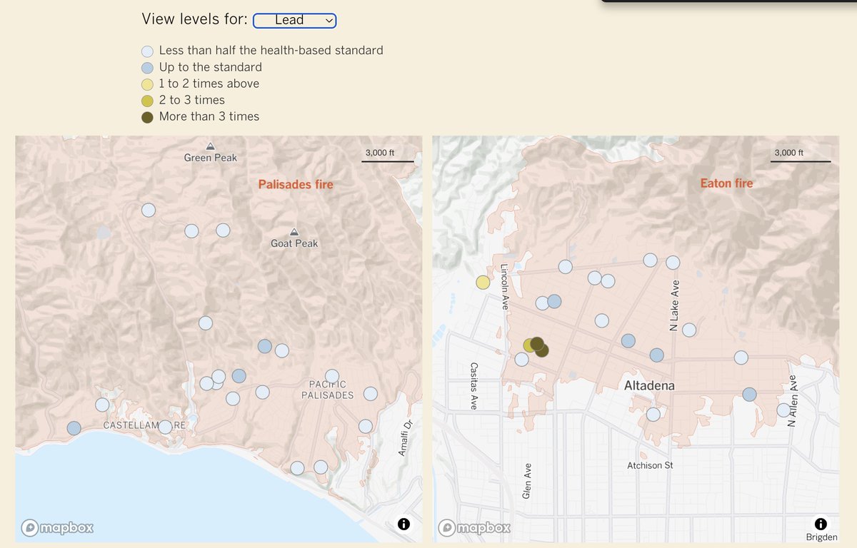 Eaton, Palisades Fire Survivors in Altadena, Pasadena, Pacific ...