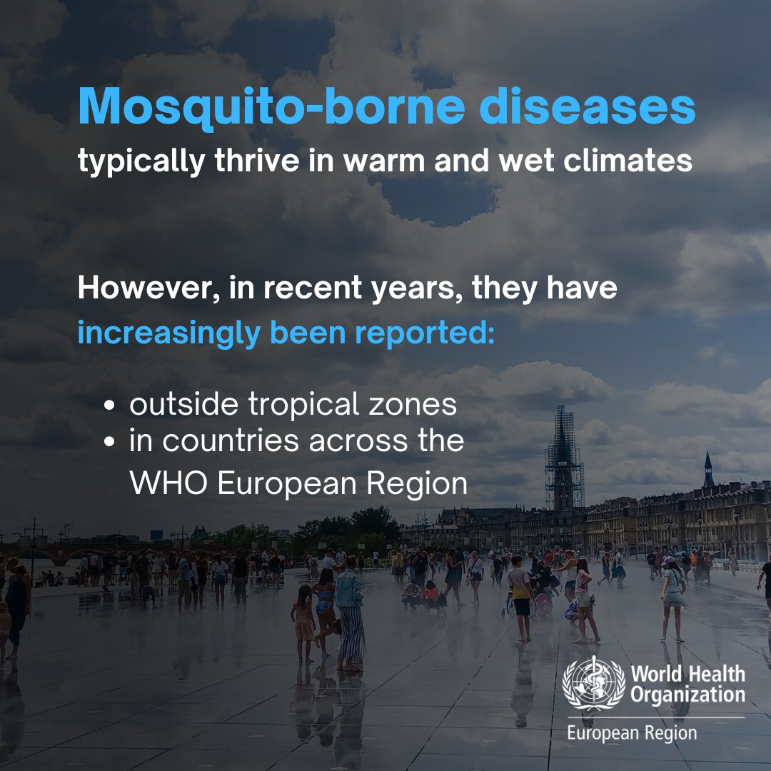 ECDC Warns Europe Faces Record Mosquito-Borne Outbreaks as Climate ...