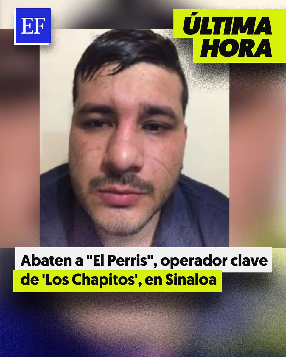 'El Perris', Sinaloa Cartel Security Chief With $1 Million DEA Bounty ...