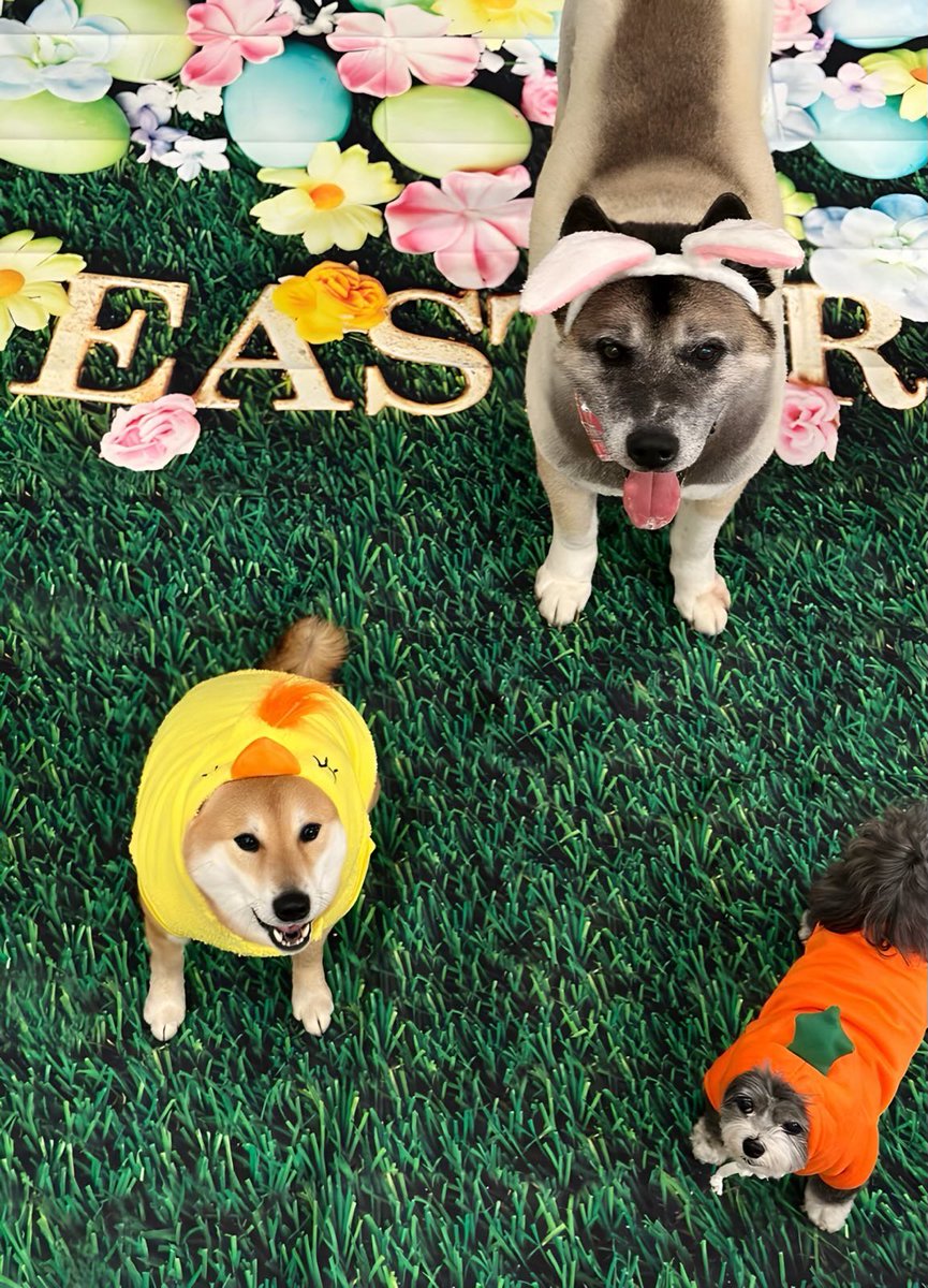 Elon Musk’s DOGE Targets National Gallery After Managing U.S. National ...