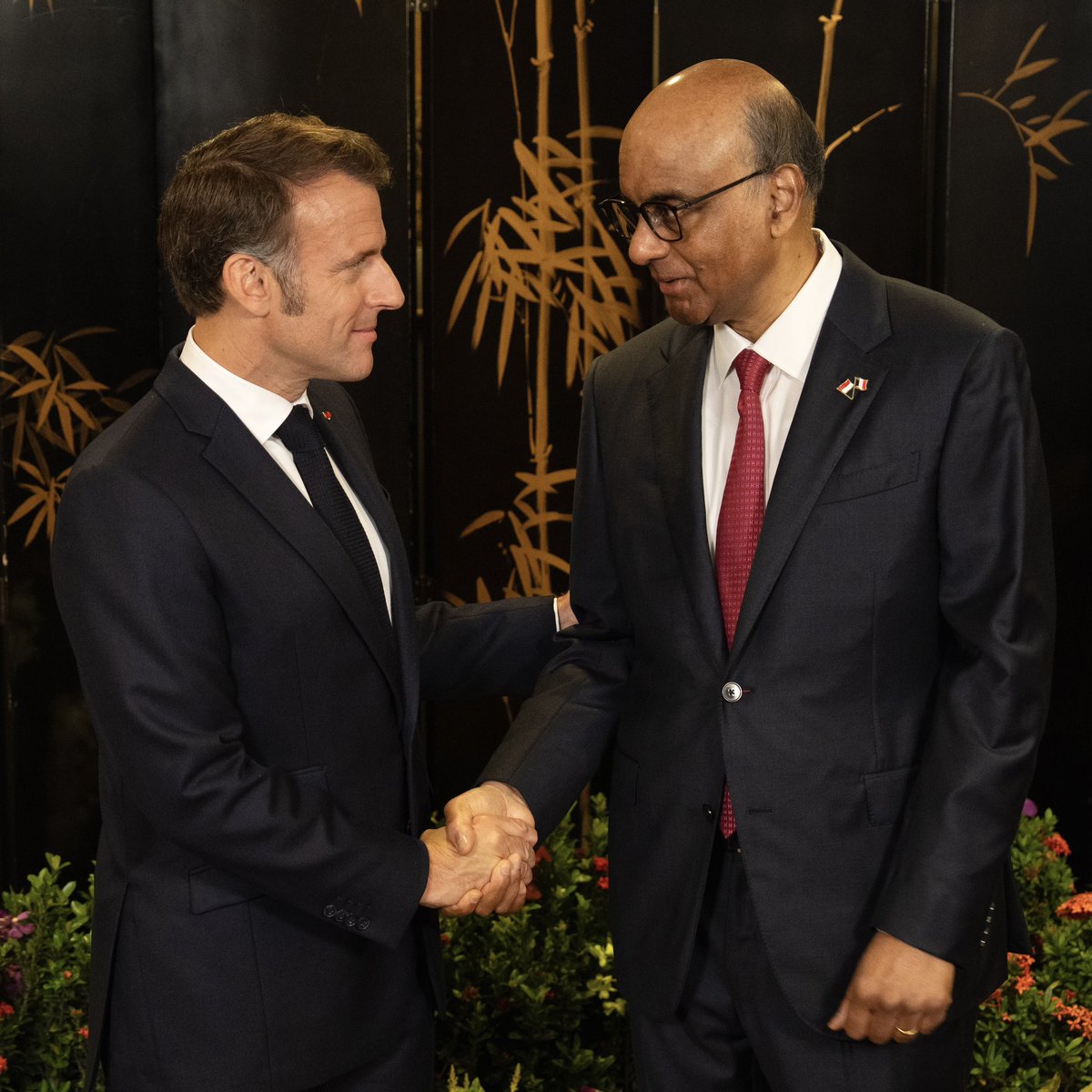 Emmanuel Macron Concludes Southeast Asia Tour in Singapore With 60 ...