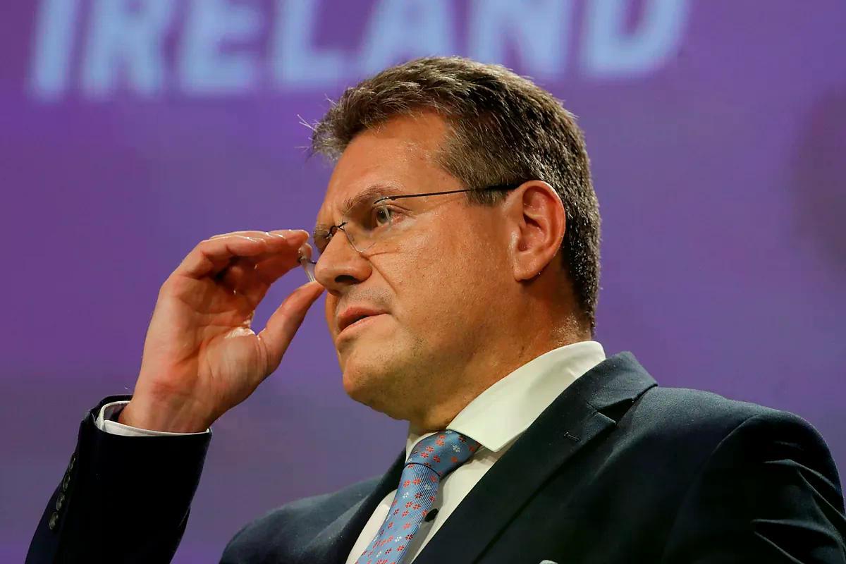 EU Trade Commissioner Sefcovic Calls US Tariffs Damaging, Commits to ...